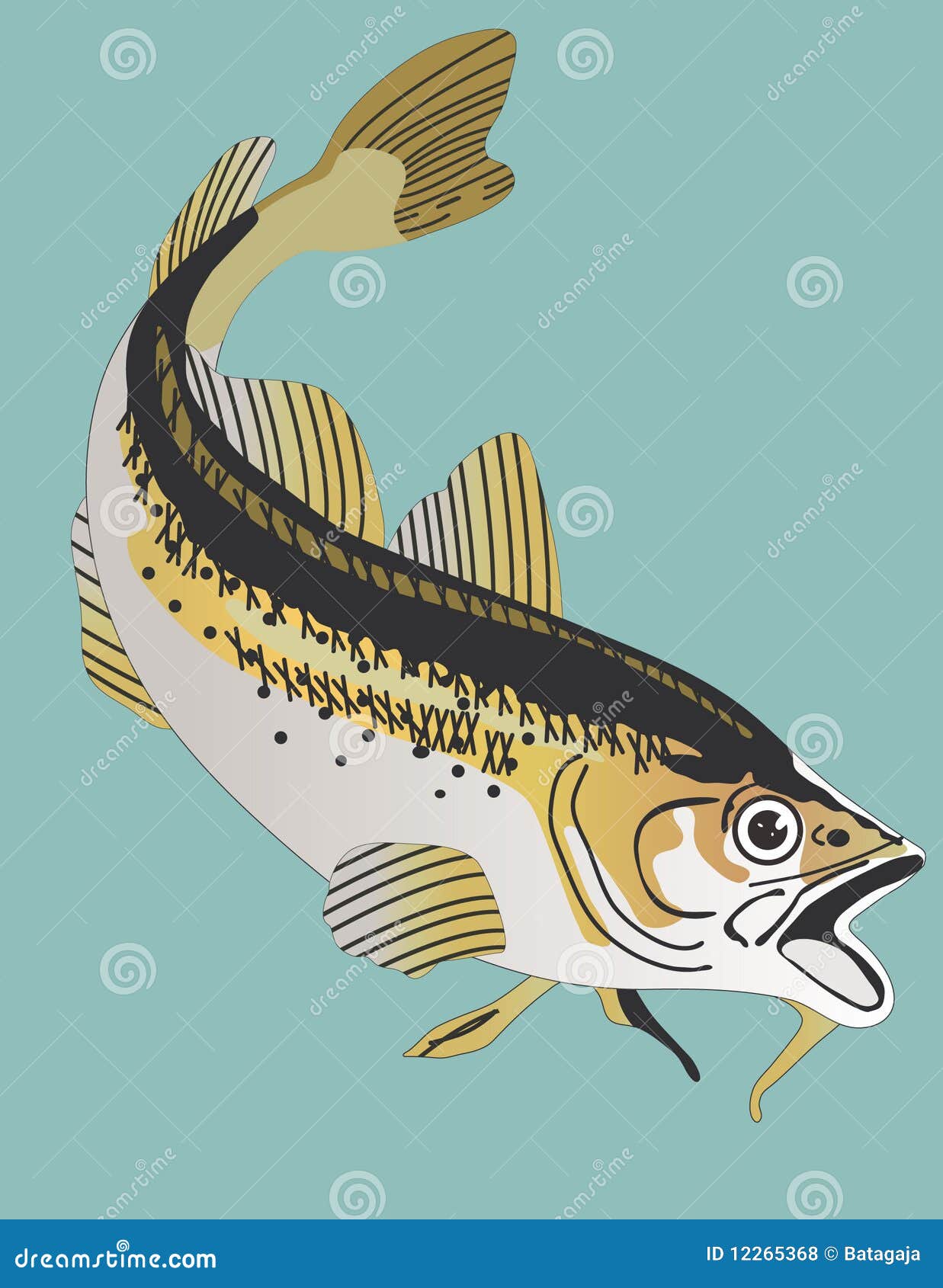 Fish Haddock. Hand Drawn Vector Illustration. Engraving Style. Isolated ...