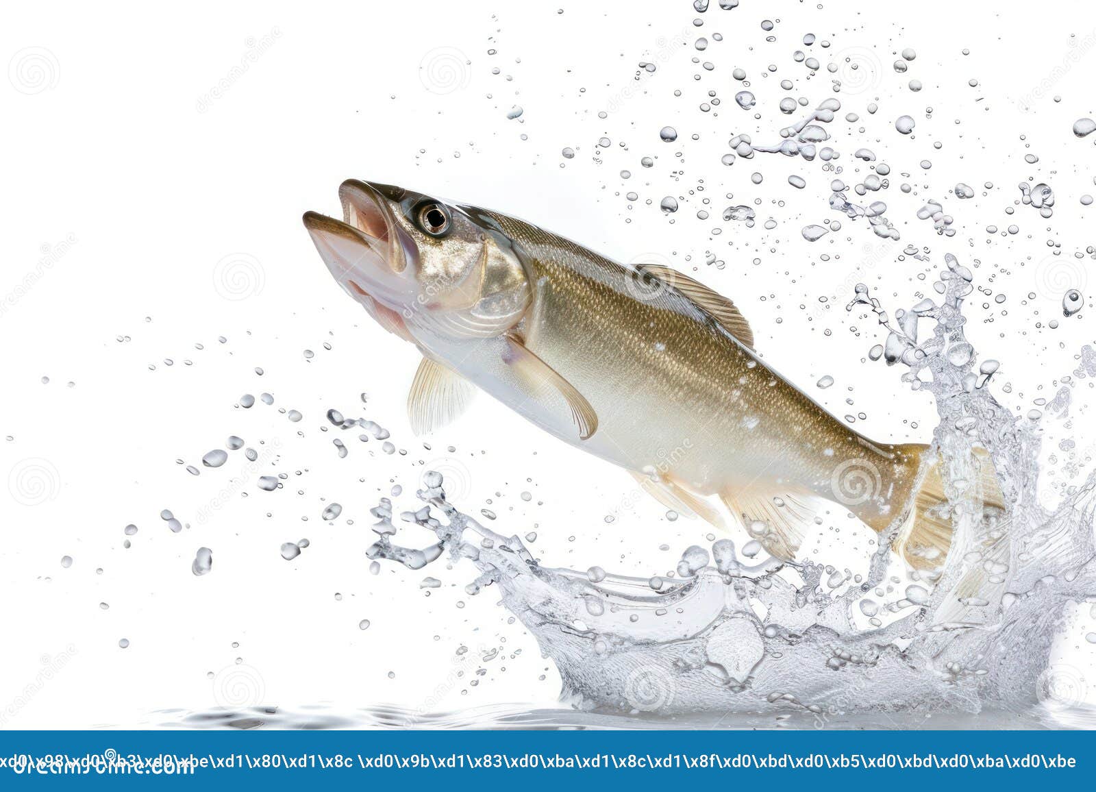 Haddock Fish Royalty-Free Illustration | CartoonDealer.com #12265368
