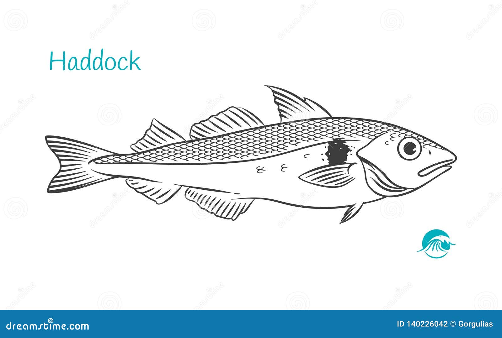 Haddock Hand-drawn Illustration Stock Vector - Illustration of rustic ...