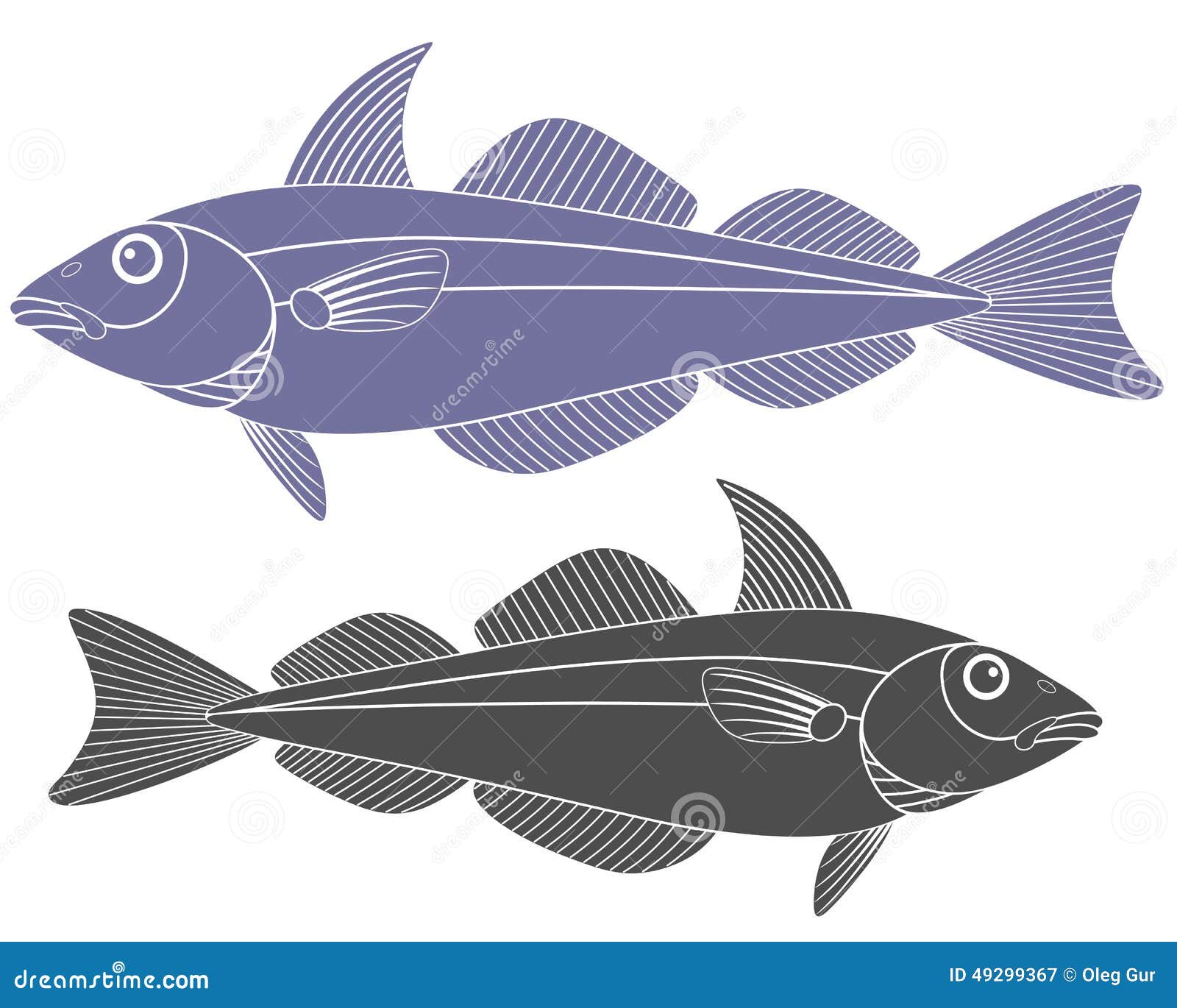 Haddock stock vector. Illustration of life, ribbon, seafood - 49299367