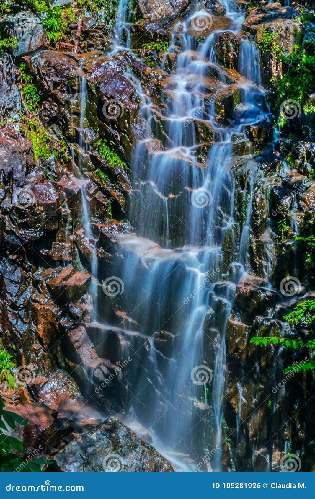 Hadlock Baja En Parque Nacional Del Acadia Foto de archivo - Imagen de ...