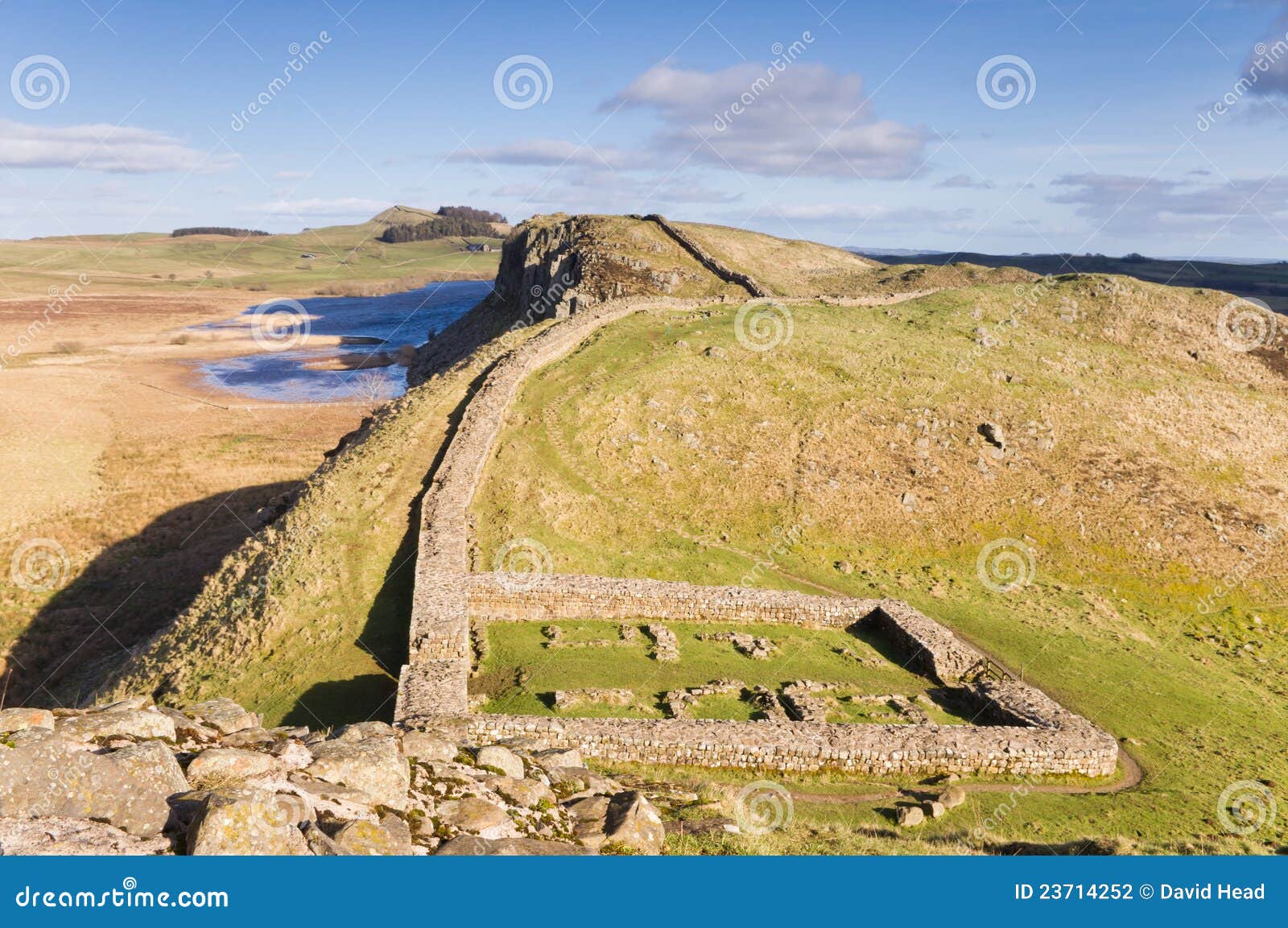 Hadrians Wall Robin Hood Tree Royalty-Free Stock Image | CartoonDealer ...