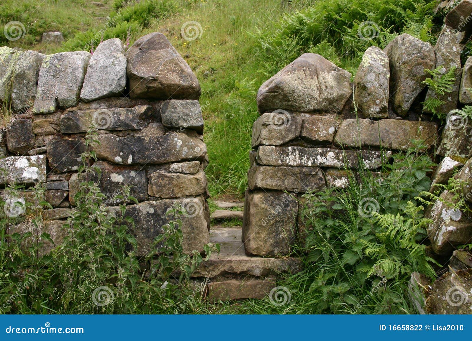 Hadrians Wall in Scotland stock photo. Image of small - 16658822
