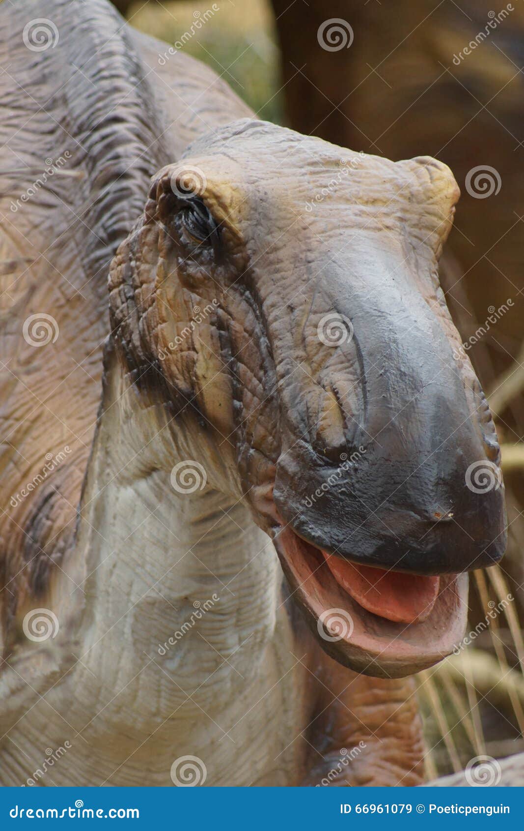 Hadrosaurus Stock Photos - Download 21 Royalty Free Photos