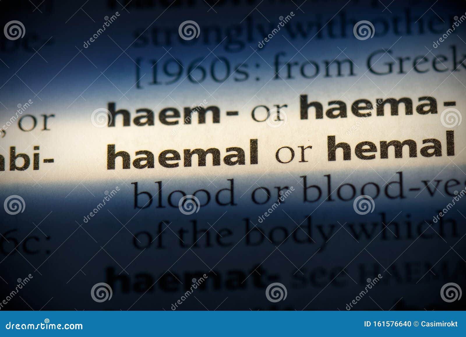 Haemal stock photo. Image of haemal, education, idea - 161576640