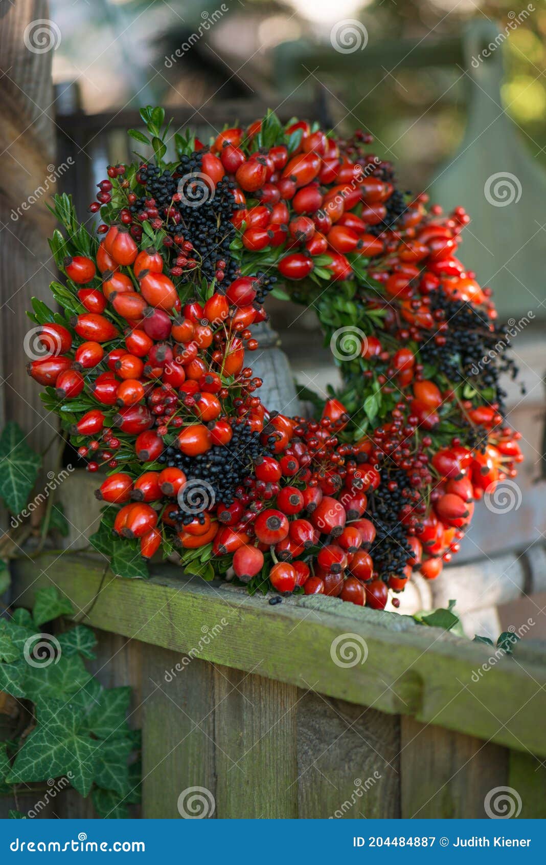 Autumn Berry Wreath on a Garden Arbor Stock Image - Image of chair ...