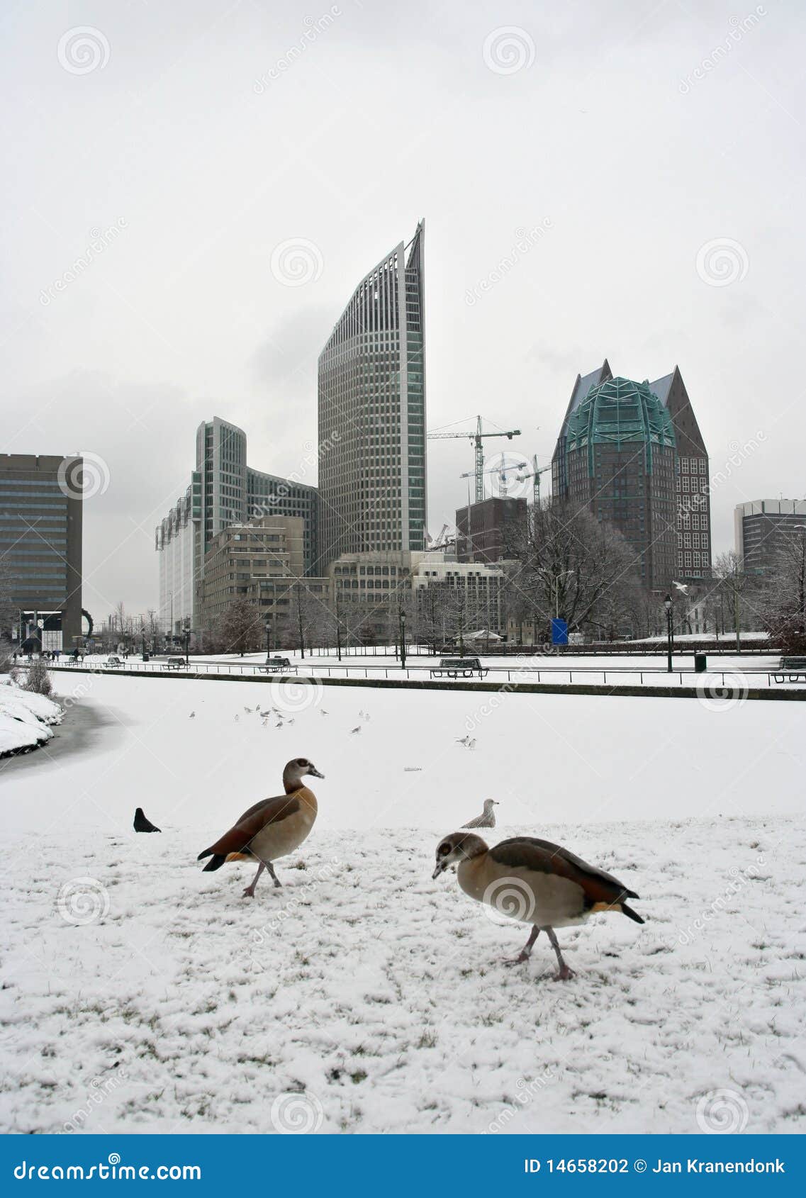 The Hague Winter stock photo. Image of netherlands, building - 14658202