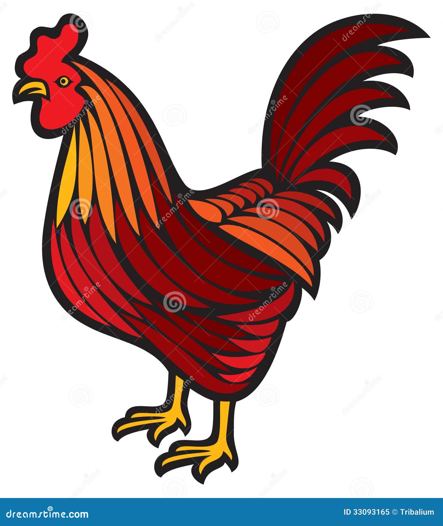 Hahn vektor abbildung. Illustration von mann, elegant - 33093165