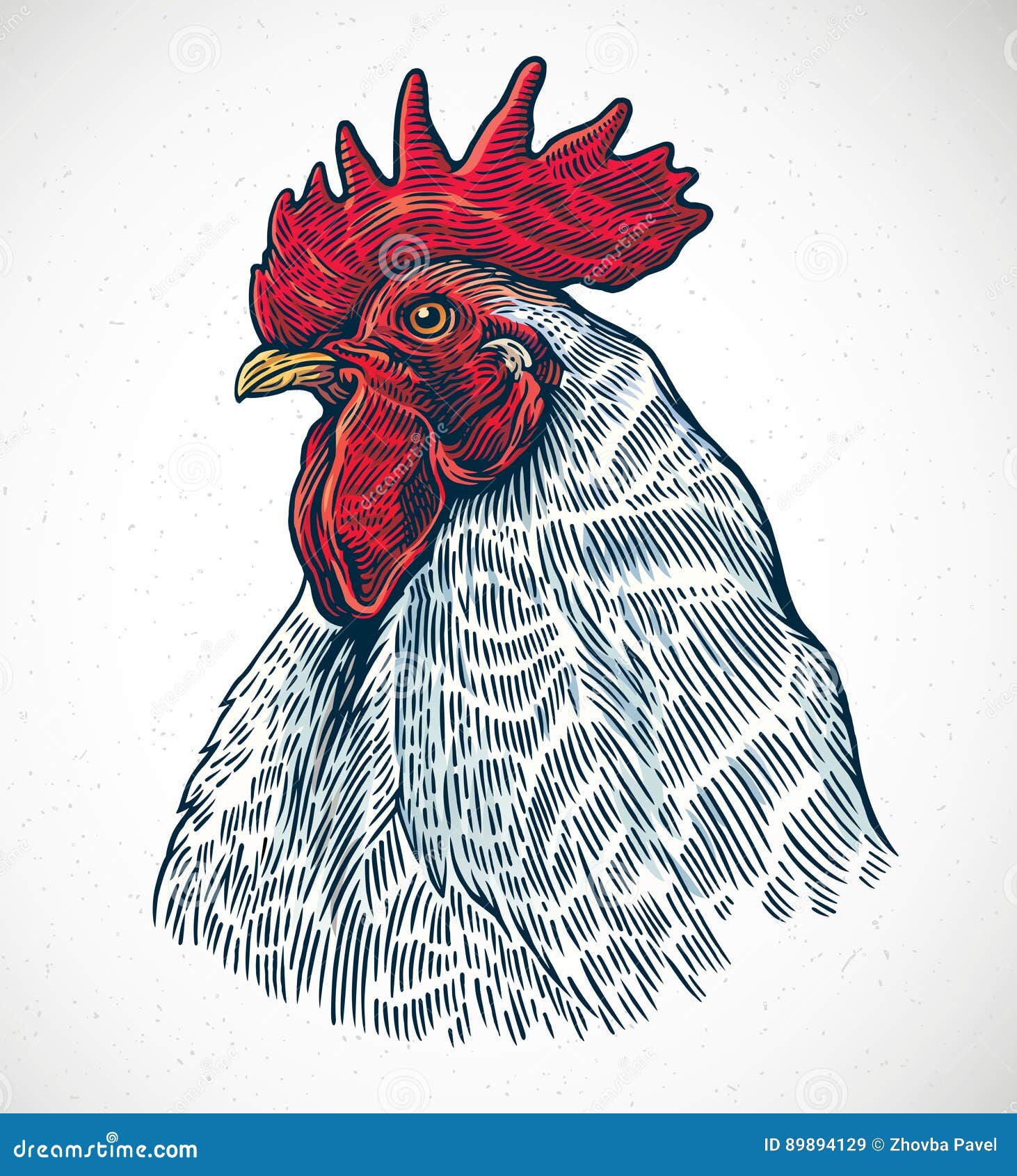 Hahn in der grafischen Art vektor abbildung. Illustration von scheitel ...