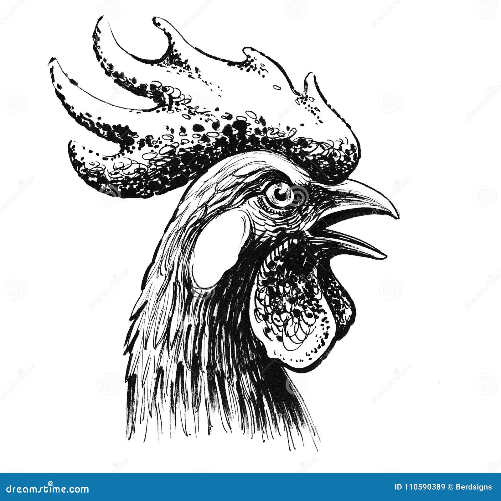 Hahnhauptskizze stock abbildung. Illustration von tier - 110590389