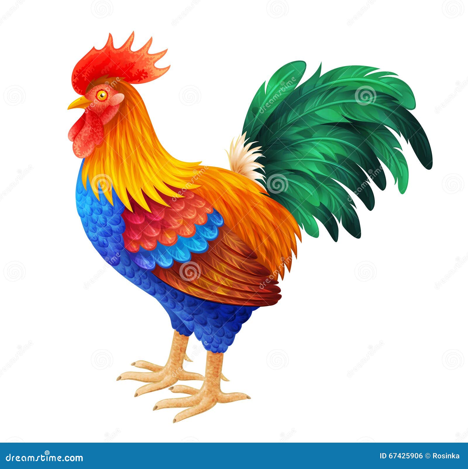 Hahnillustration vektor abbildung. Illustration von ausführlich - 67425906