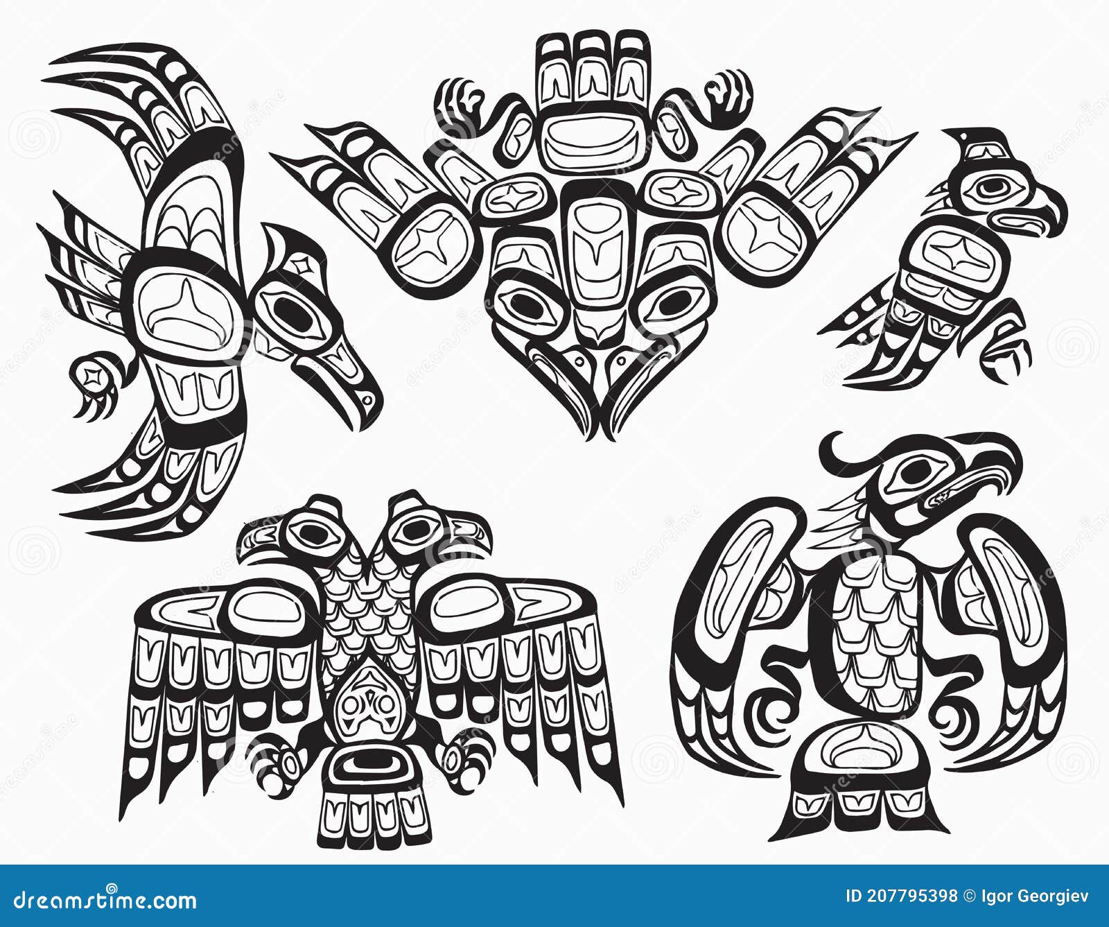 Traditional Native American Flash