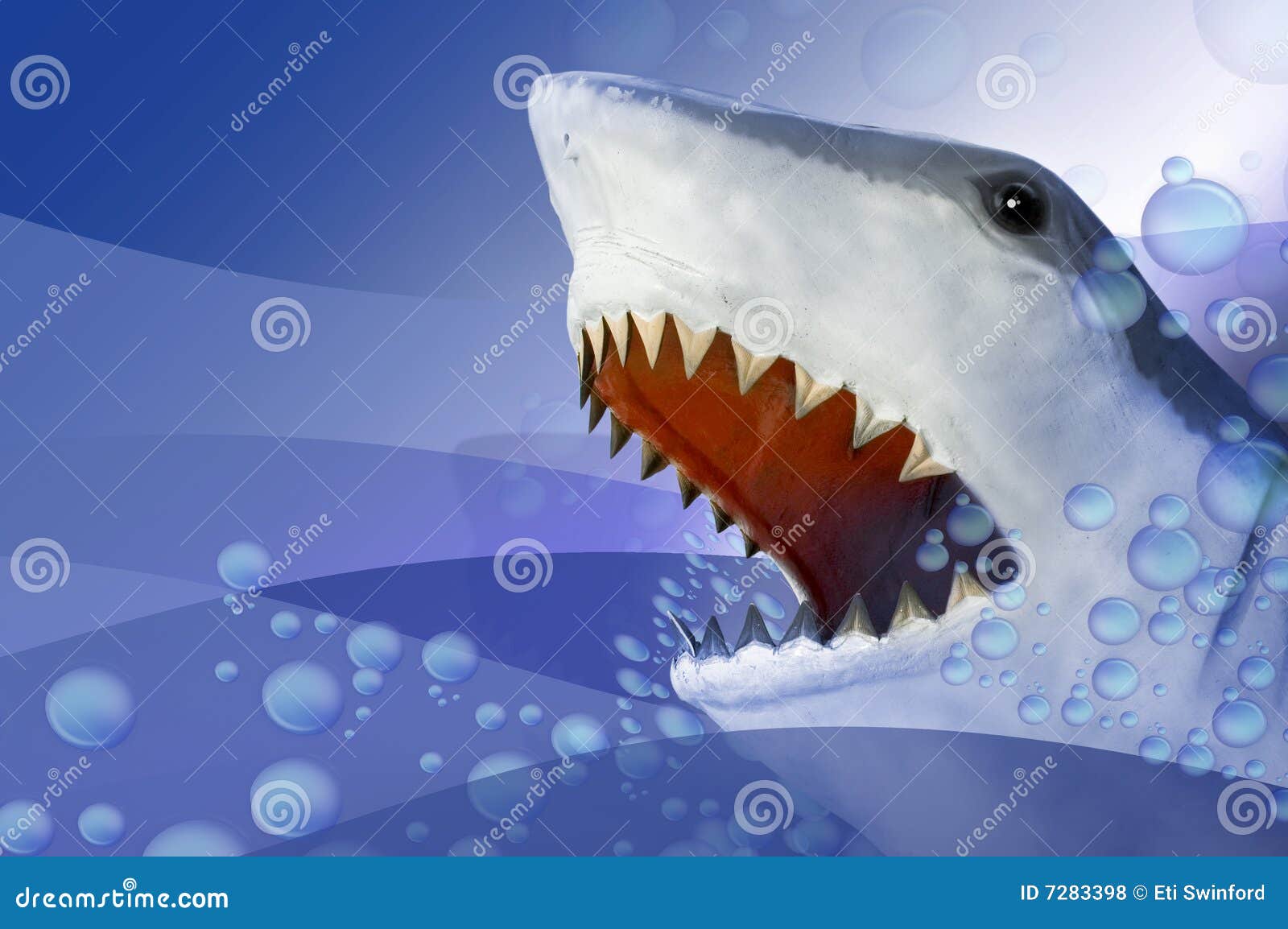 Haifisch stockfoto. Bild von luftblasen, wasser, haifisch - 7283398