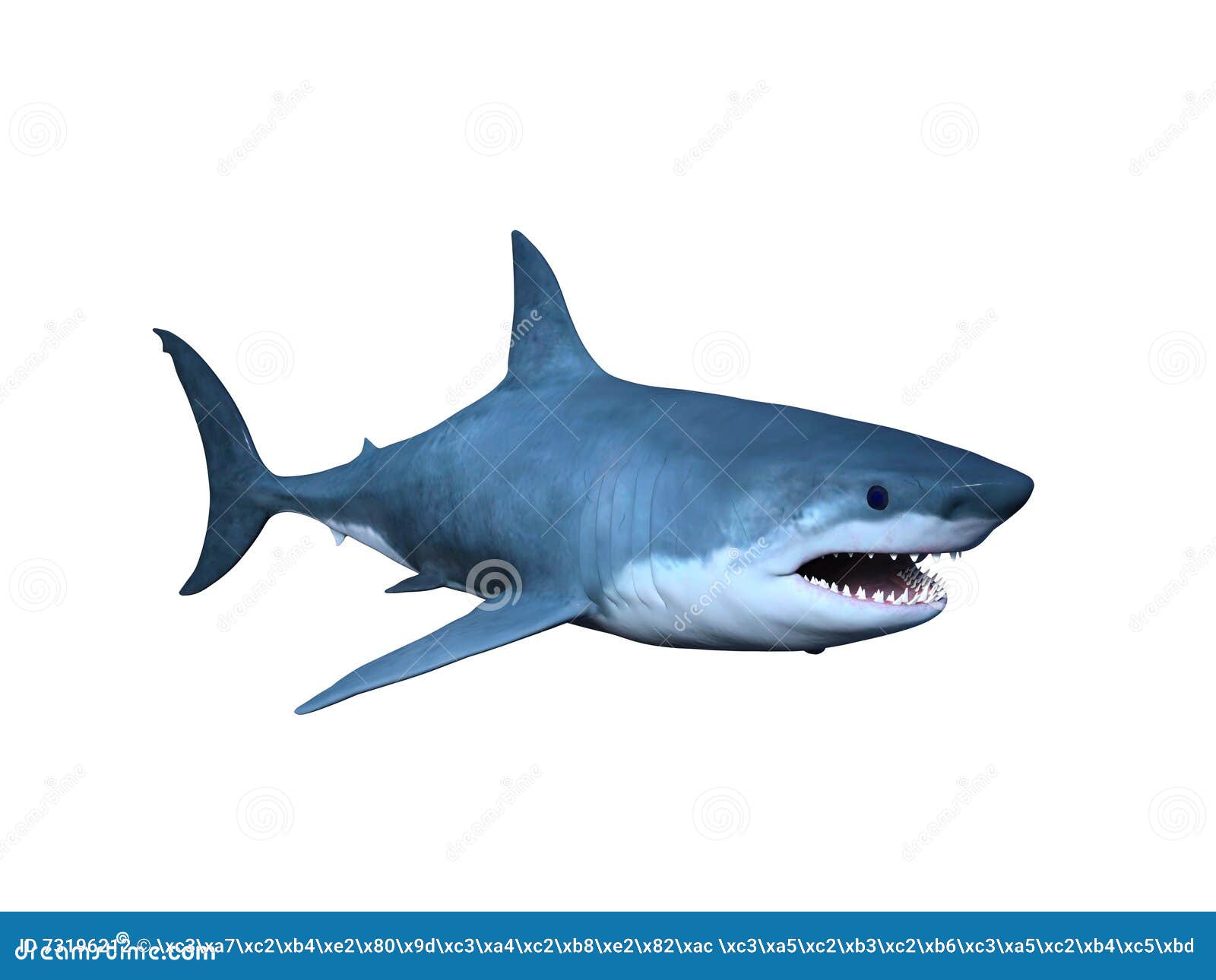 Haifisch stockfoto. Bild von haifisch, flosse, meer, öffnung - 73196212