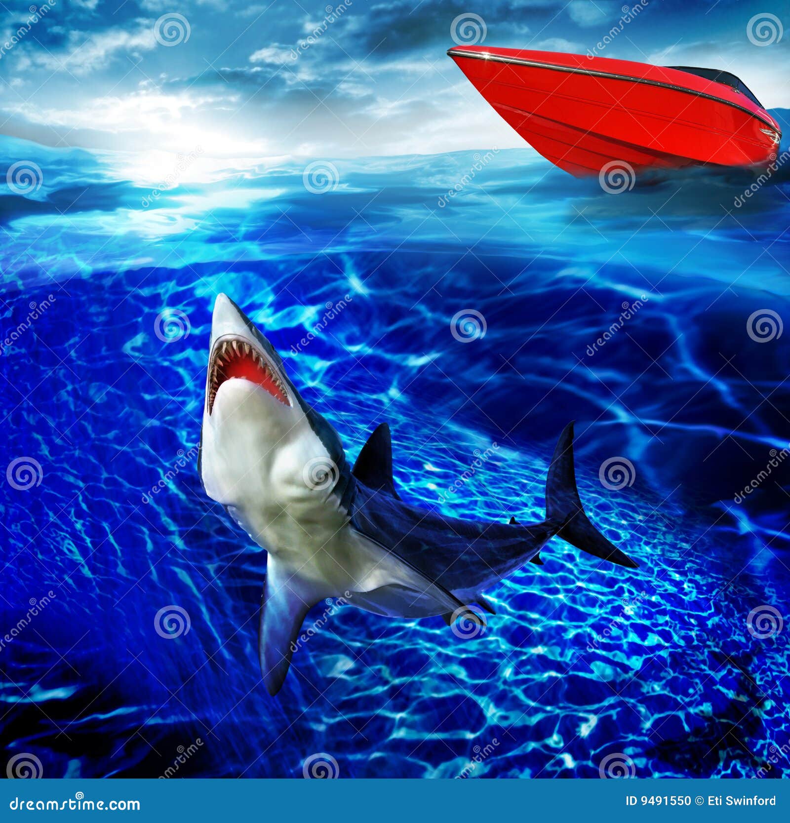 Haifisch stockfoto. Bild von haifisch, marinesoldat, wild - 9491550