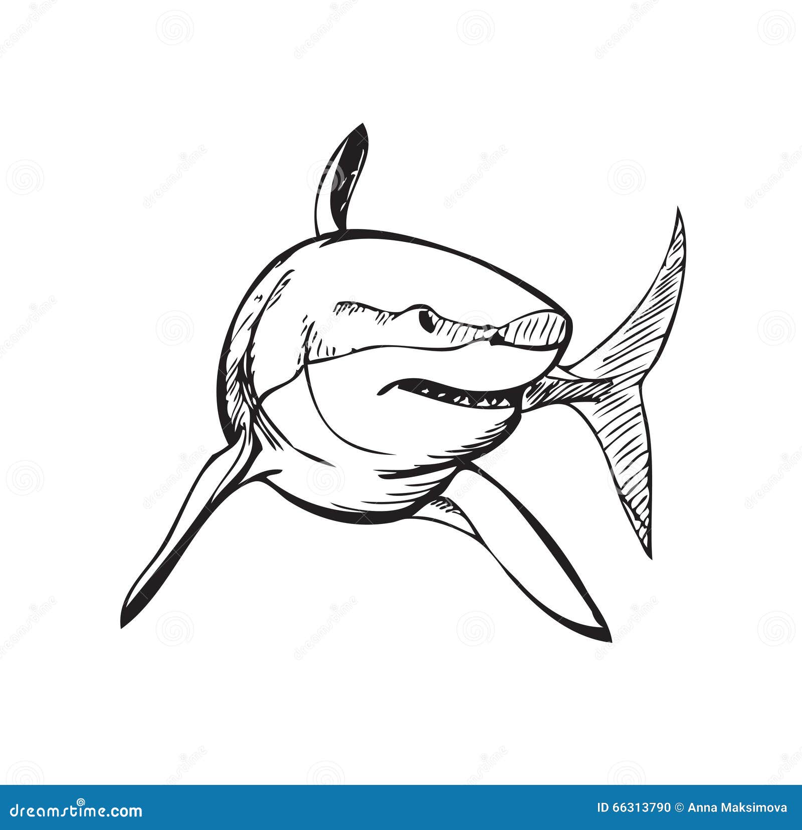 Haifisch, Stilisierte Illustration Vektor Abbildung - Illustration von ...