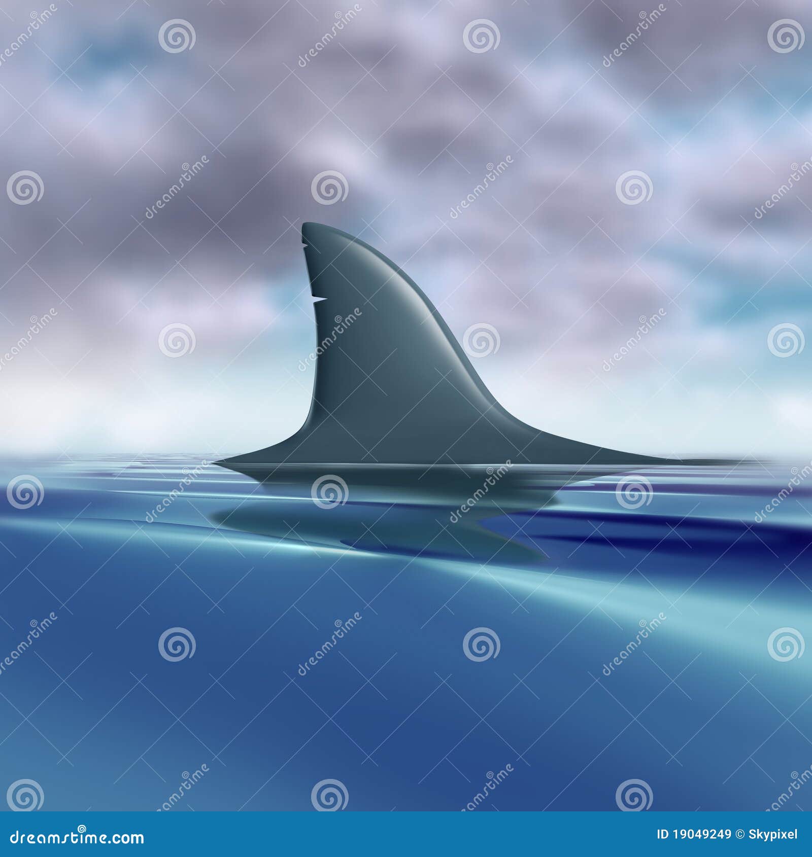 Haifischflosse Überwasser stockbild. Bild von konkurrenzfähig - 19049249