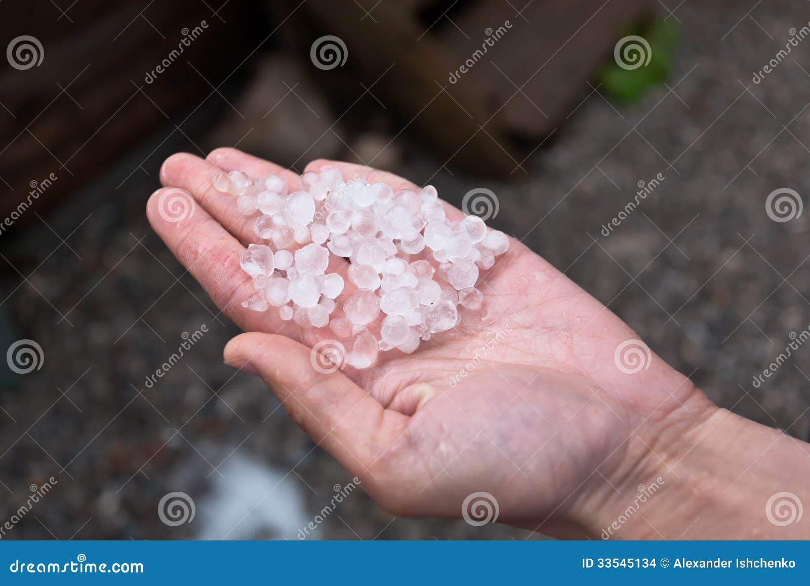 Hail on hand. stock photo. Image of caucasian, blank - 33545134
