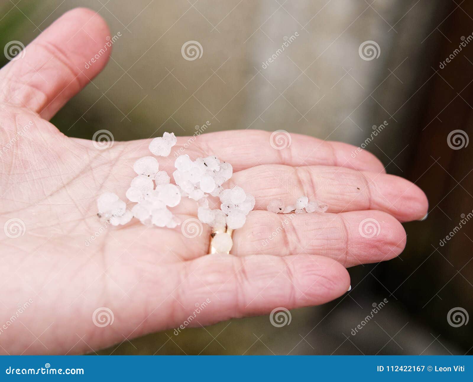 Hail in Hands after Hailstorm Stock Image - Image of lumpy, size: 112422167