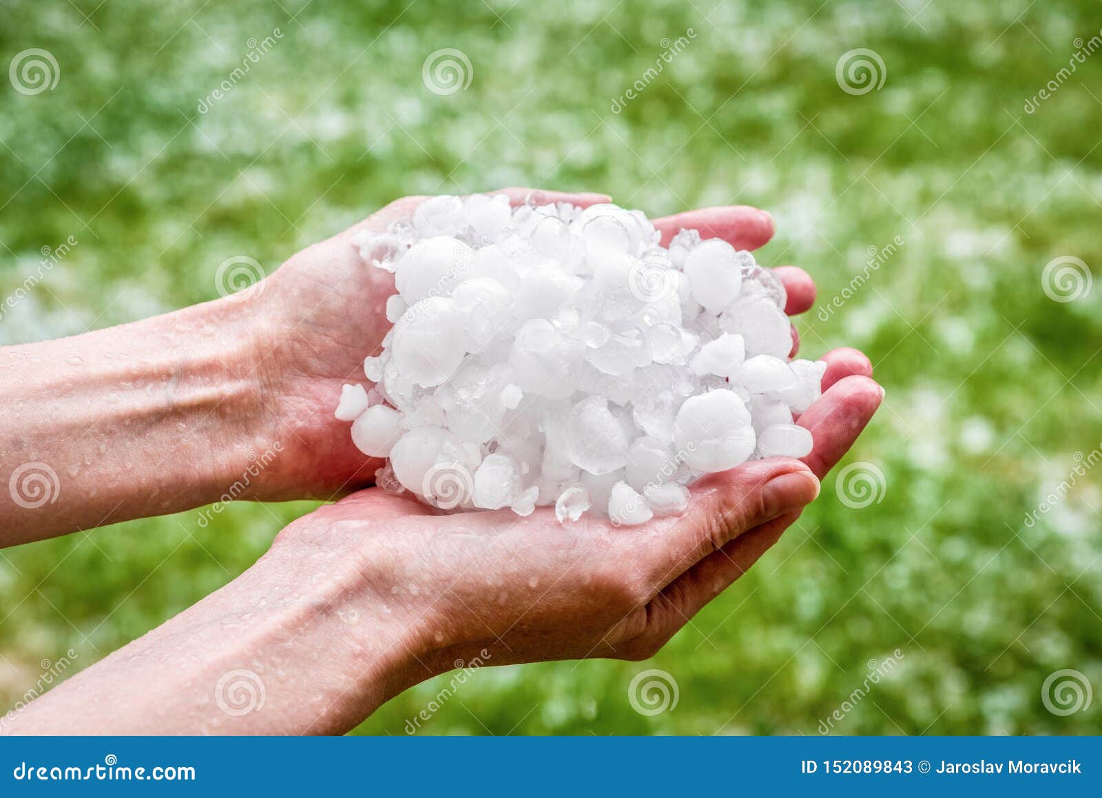 Hail in hands. Hailstorm stock image. Image of hailing - 152089843