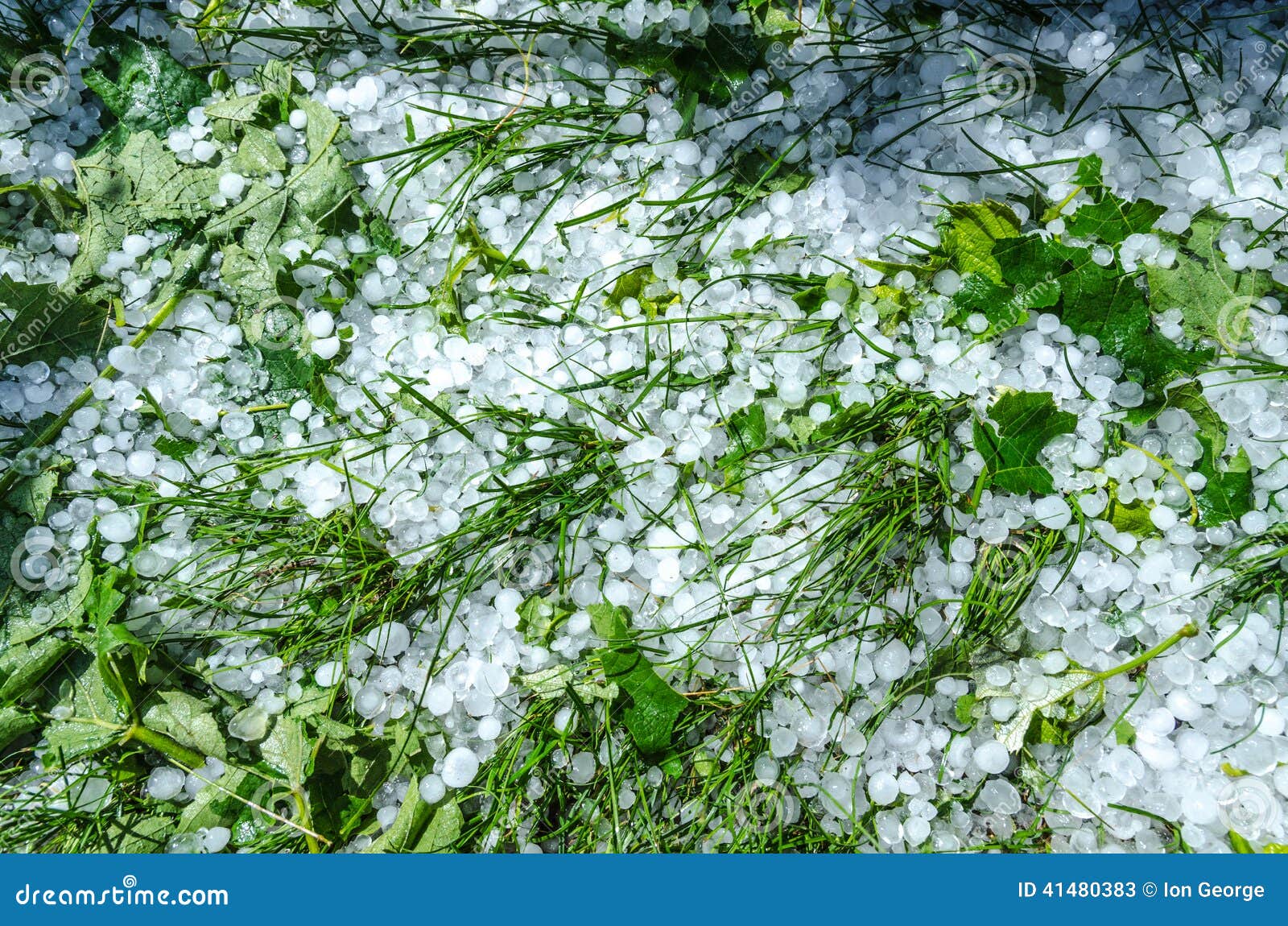 Hail ice balls stock image. Image of cool, rain, hailstone - 41480383
