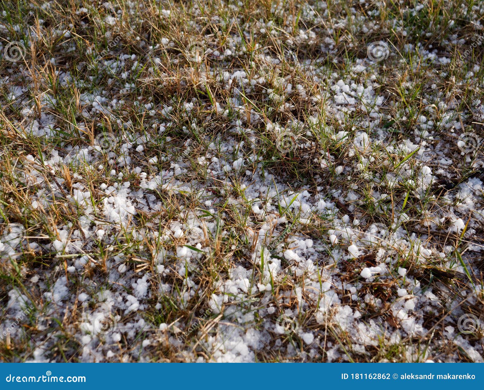 Hail Ice Balls on Green Grass in Spring Stock Photo - Image of pearls ...