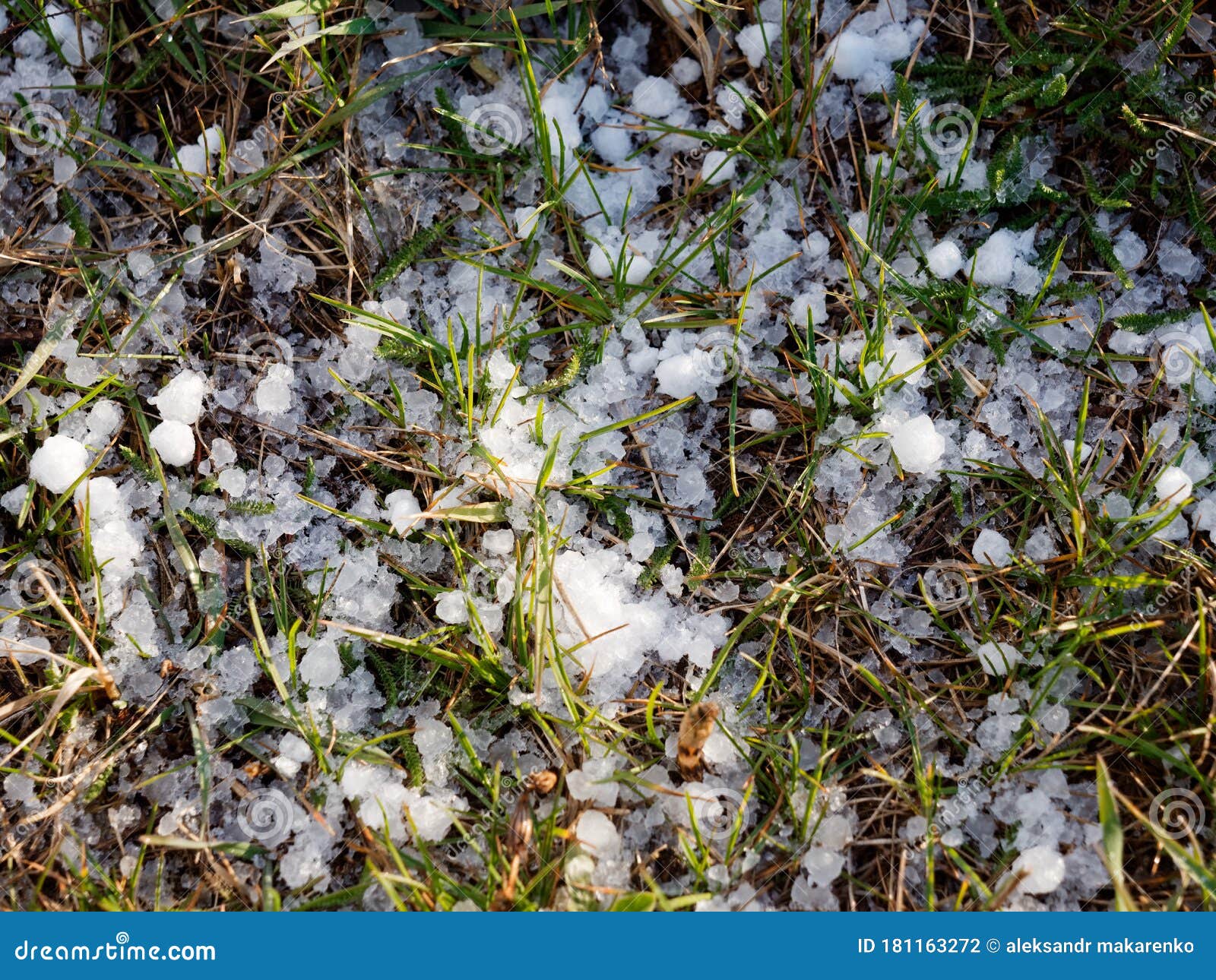 Hail Ice Balls on Green Grass in Spring Stock Photo - Image of frozen ...