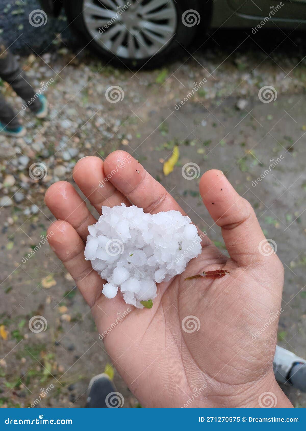 Hail Ice in Hand after a Heavy Storm Stock Image - Image of heavy, hand ...