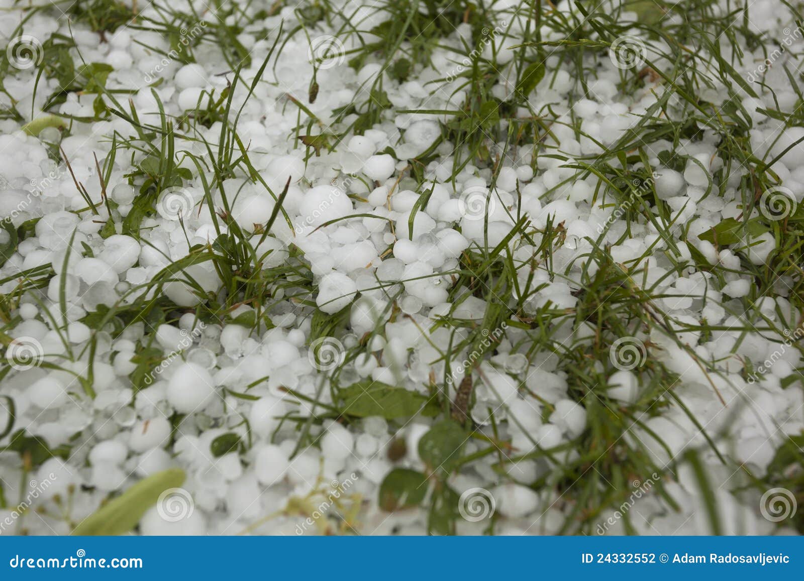 Hail Storm Disaster Close Up Stock Photo - Image of danger, cold: 24332552