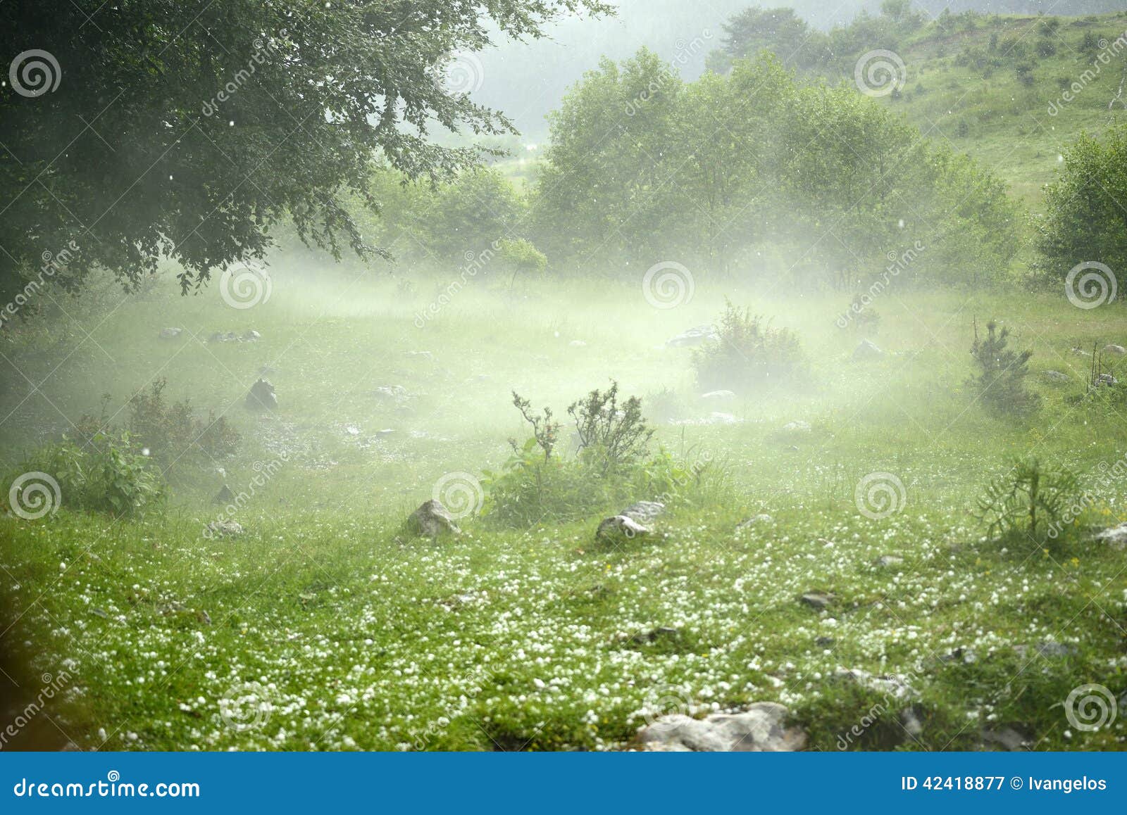 Hail Storm and Fog in the Forest Stock Image - Image of dramatic ...