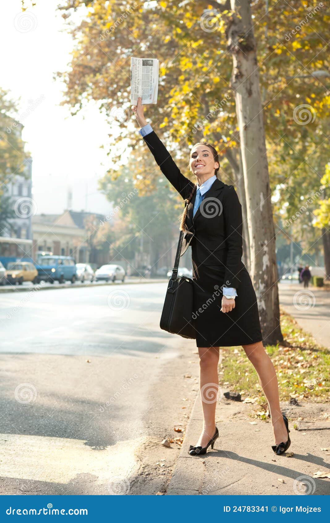 Hailing a Cab stock image. Image of street, life, business - 24783341