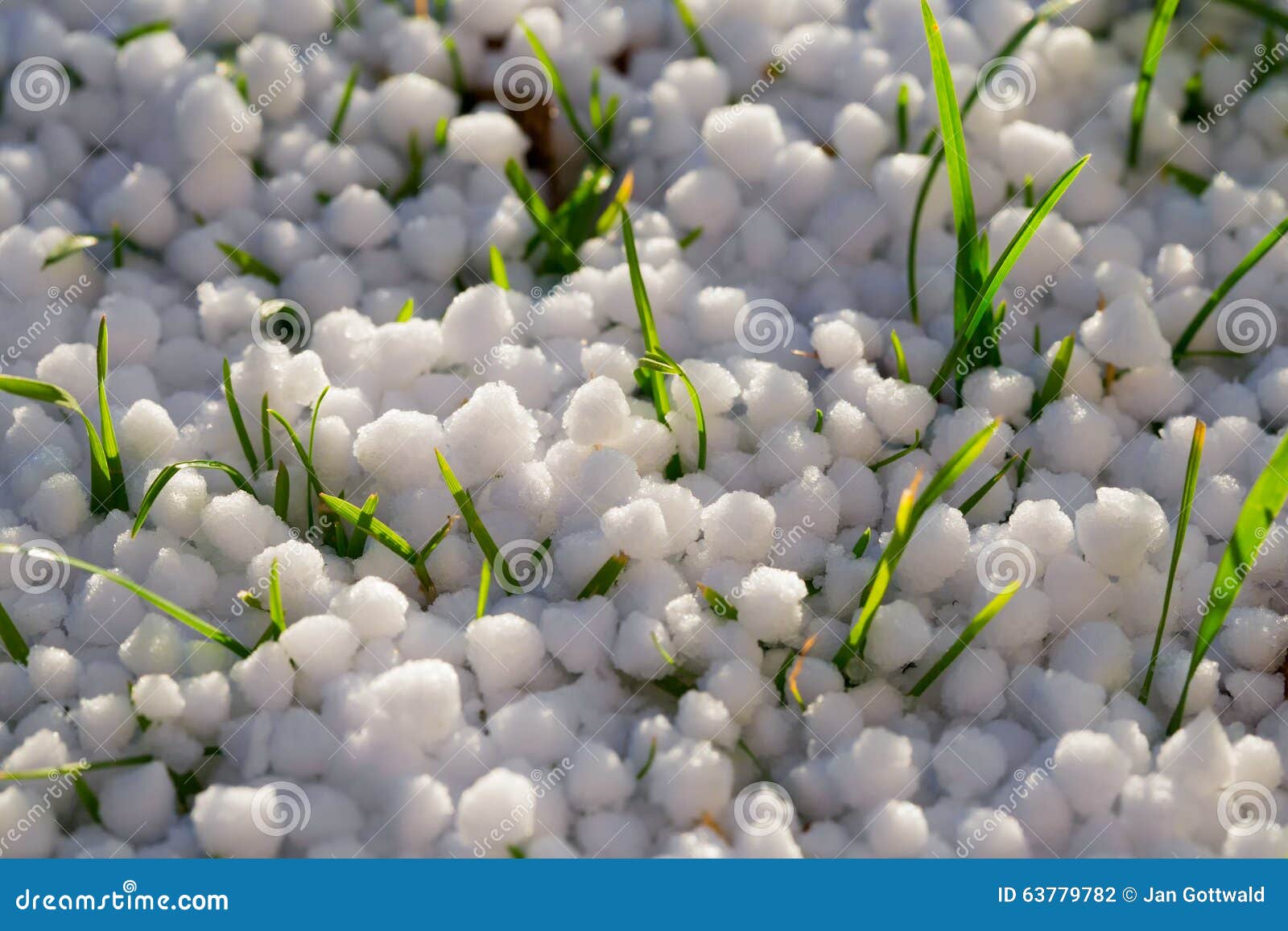 Hailstones stock photo. Image of weather, cool, covering - 63779782