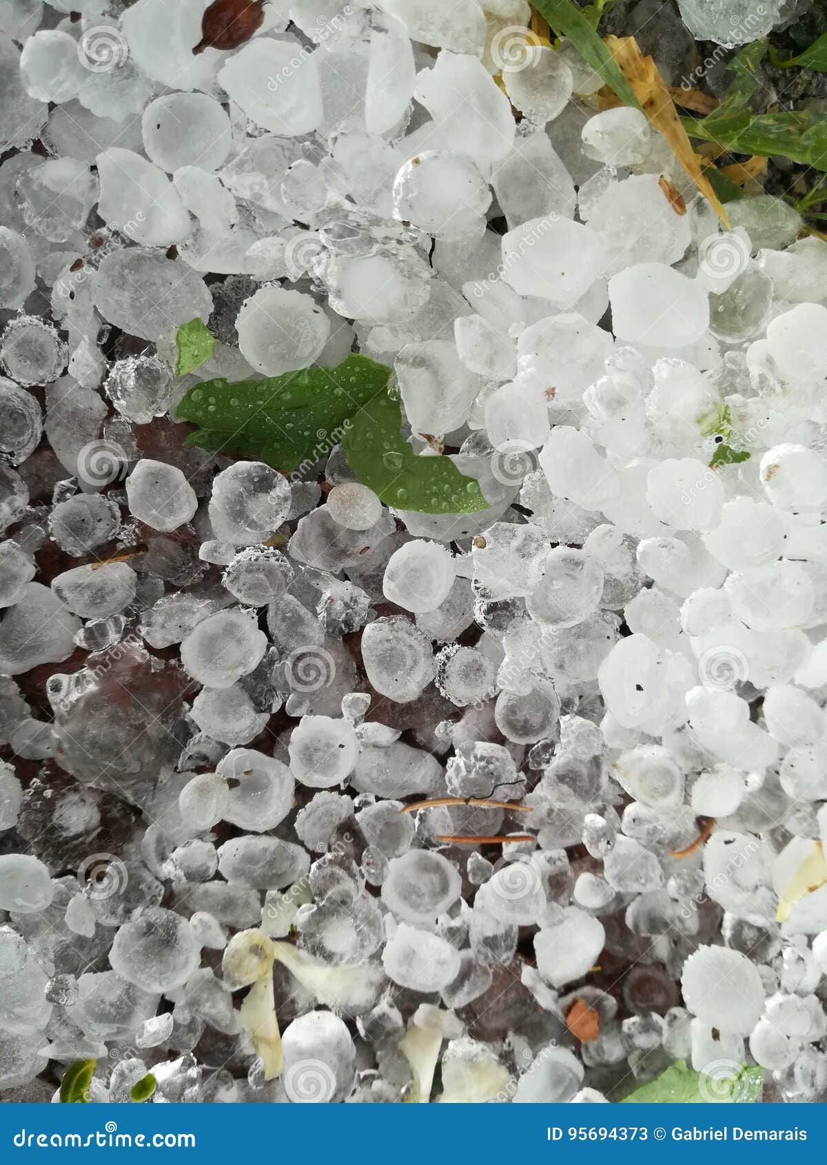 Hailstorm stock image. Image of little, frozen, balls - 95694373