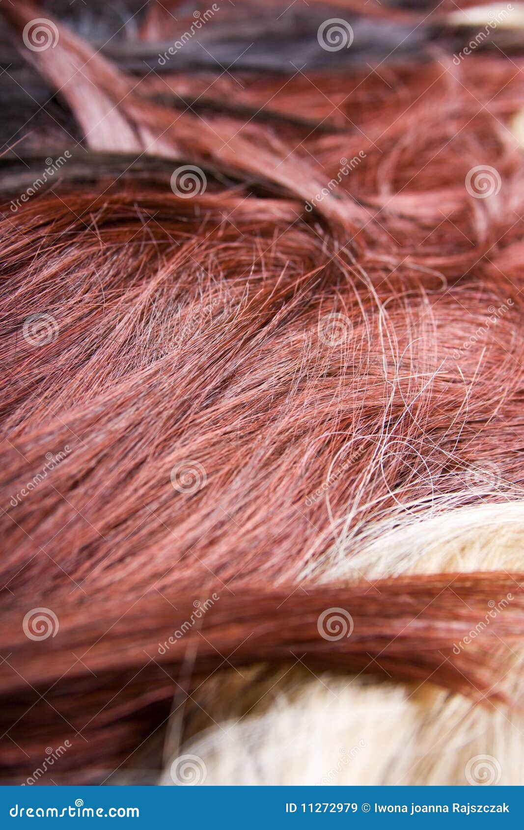 Hair stock image. Image of highlight, flaxen, detail - 11272979