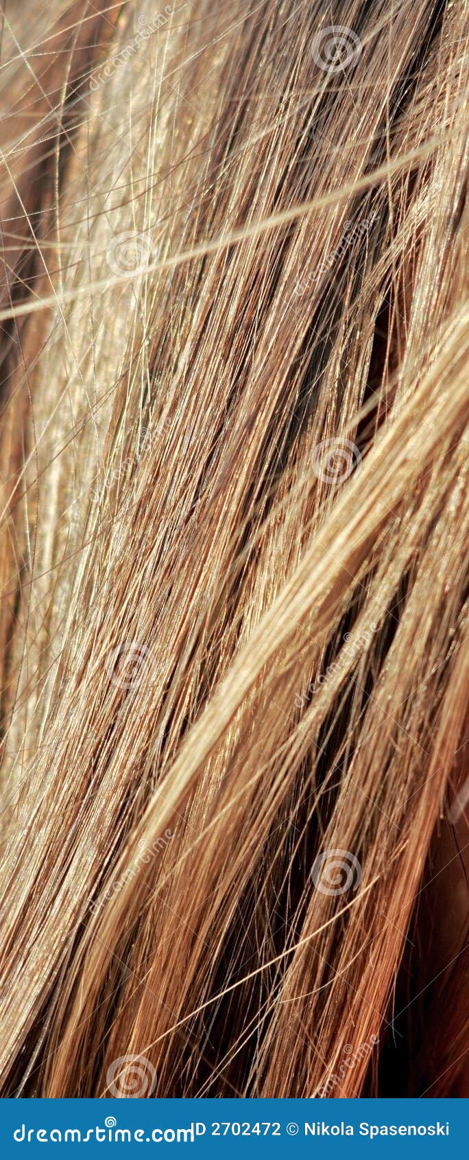 Hair abstract stock photo. Image of lint, fibre, golden - 2702472