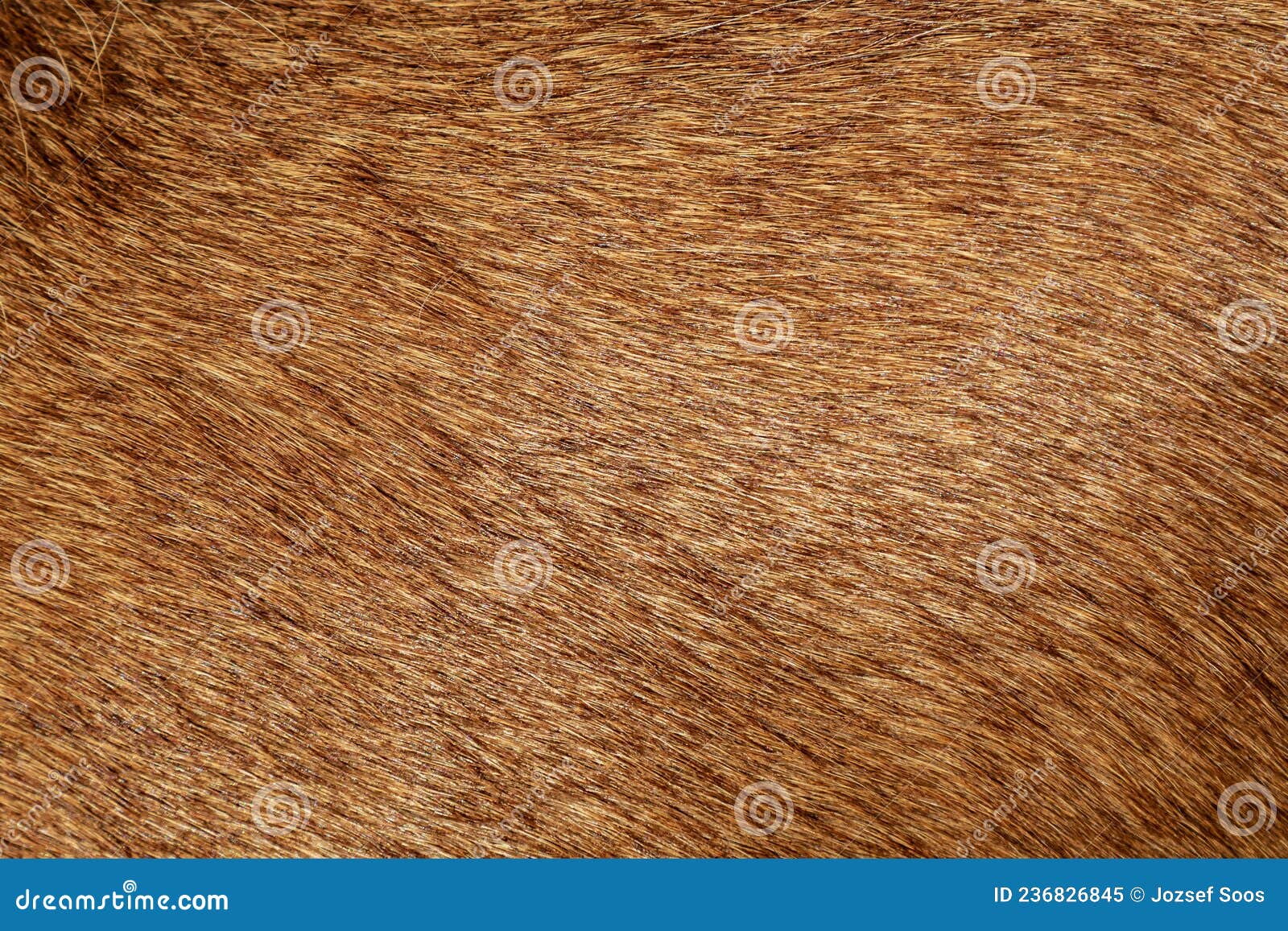 Hair Abstract Texture. Surface Backdrop. Hairy Effect Pattern Stock ...