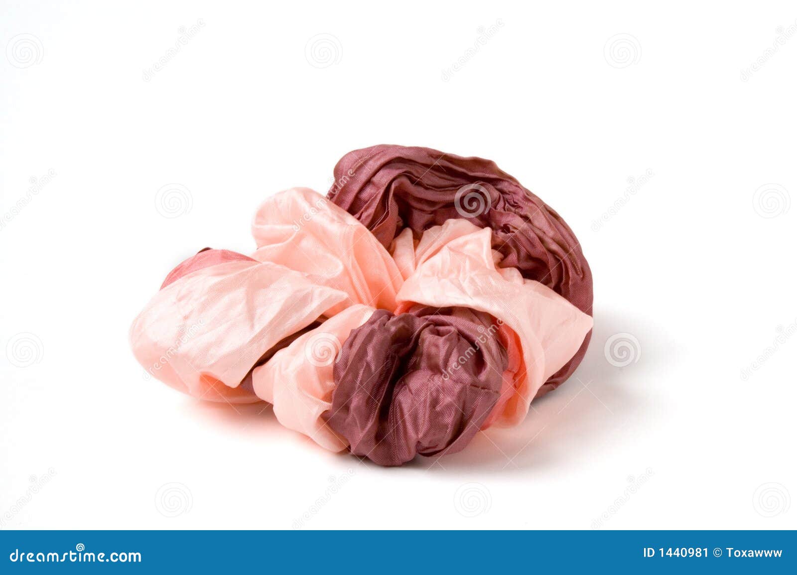 Hair Accessory Fillet Picture. Image: 1440981