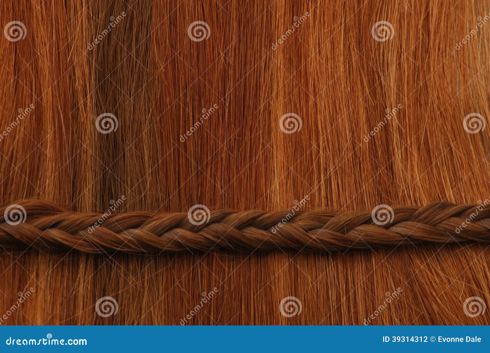 Hair Braid Horizontal stock photo. Image of brown, brunette - 39314312