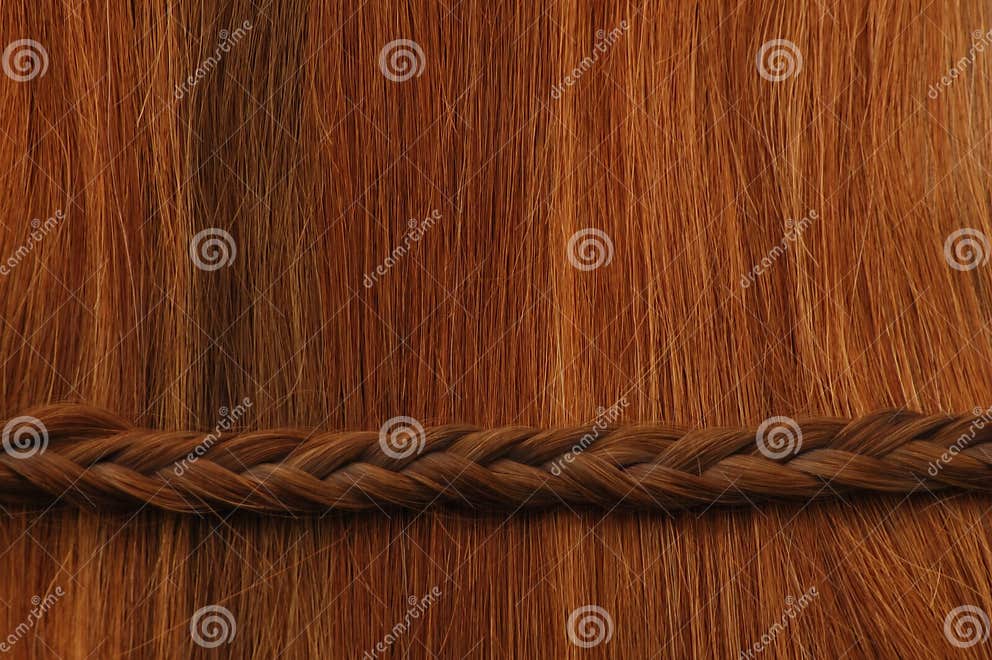 Hair Braid Horizontal stock photo. Image of brown, brunette - 39314312