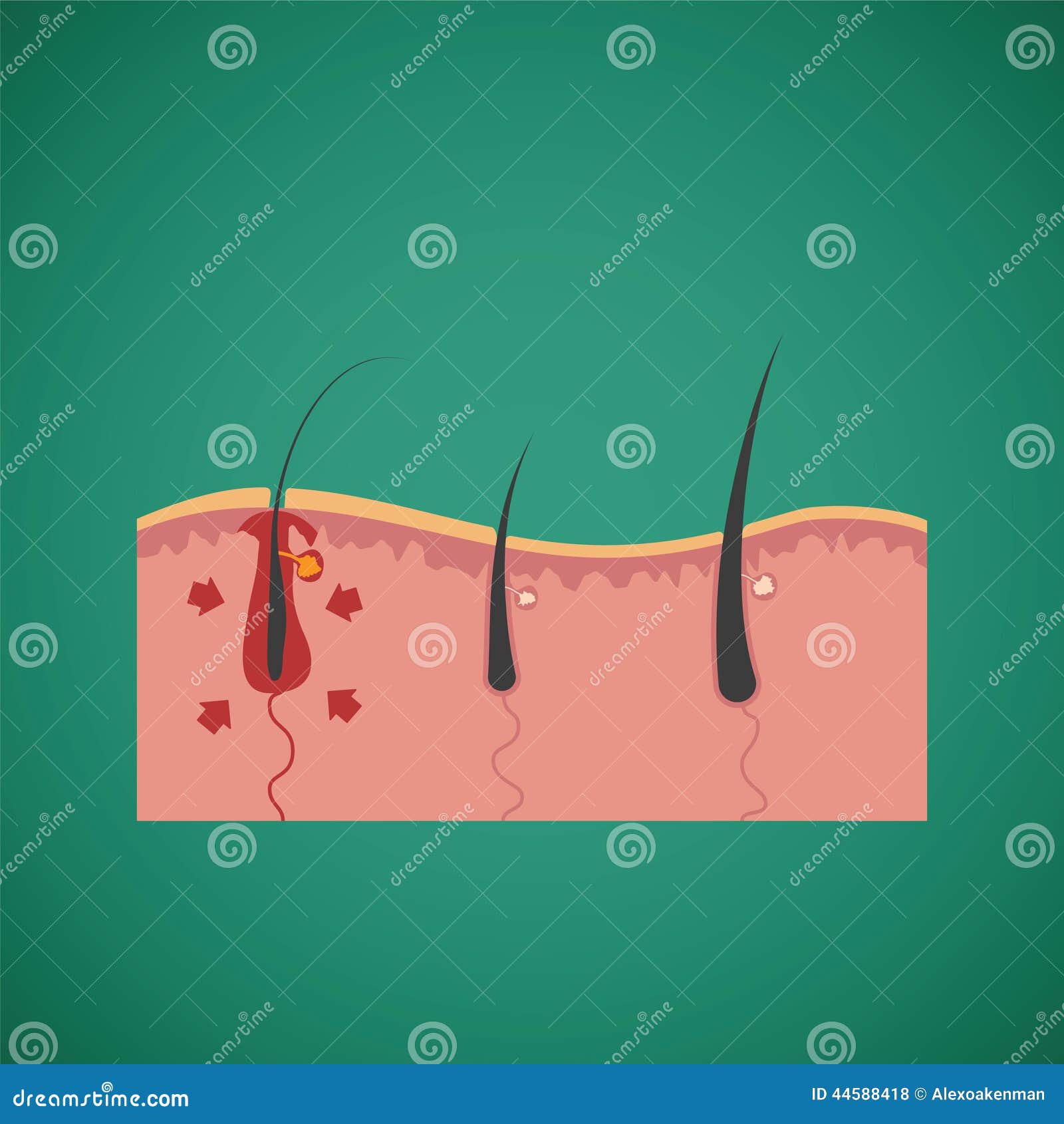 Hair Care and Growth Nutrients Vector Concept Stock Vector ...