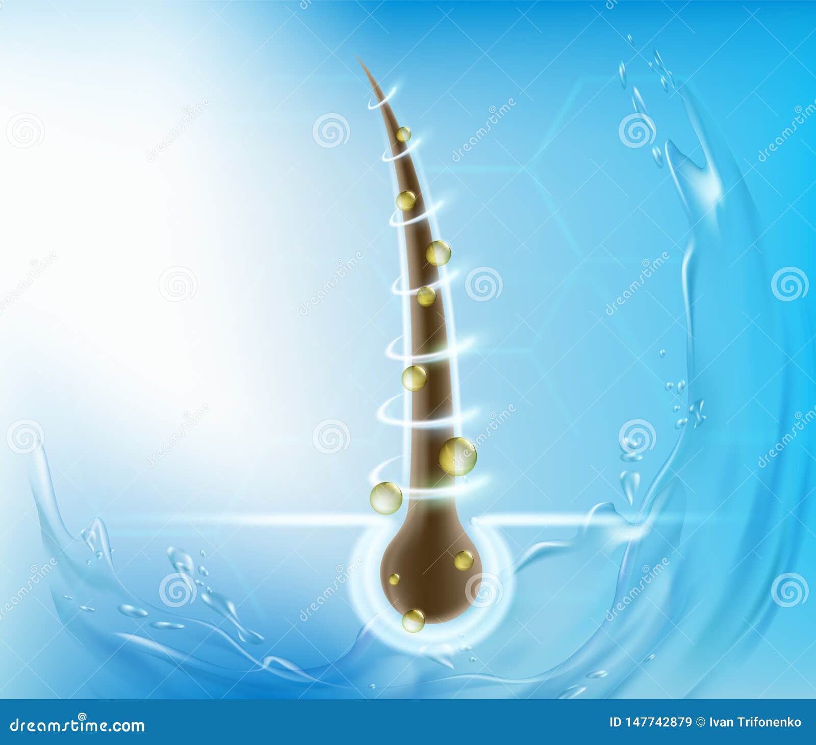 Split Ends Of Damaged Hair Follicle Under The Microscope Vector ...