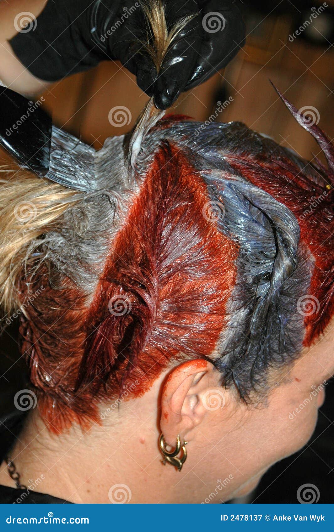 Hair coloring stock image. Image of fancy, colours, haircolor - 2478137