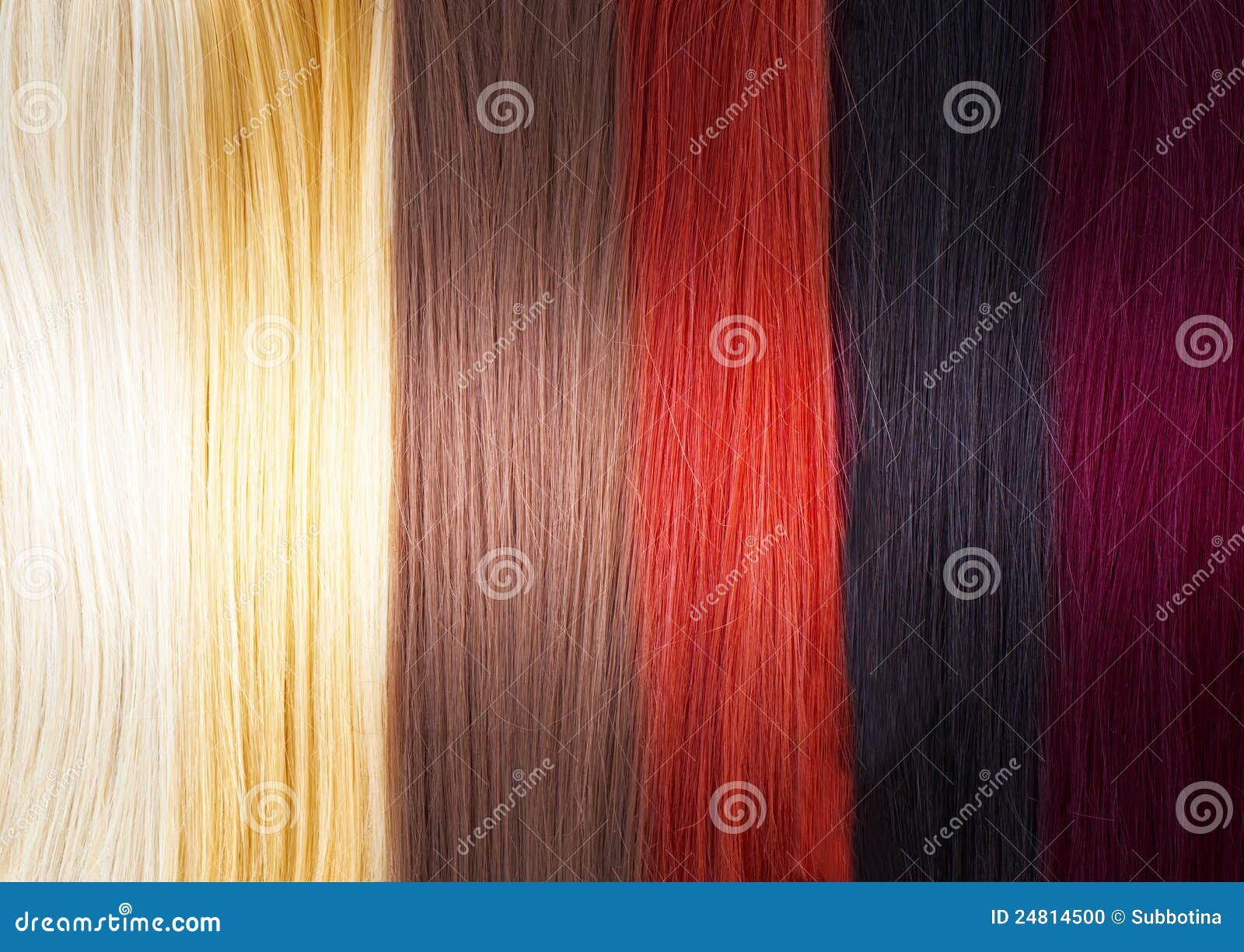 Hair Colors Palette stock photo. Image of blond, hairstyle - 24814500