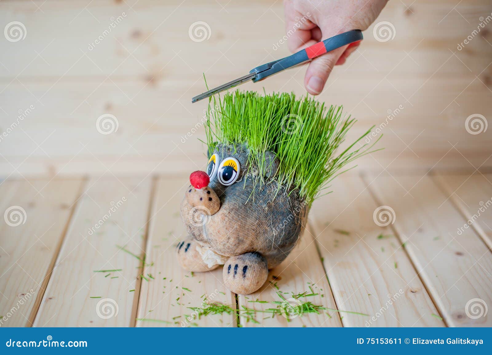 Hair Cutting, Hedgehog with Needles of Grass Stock Image - Image of ...