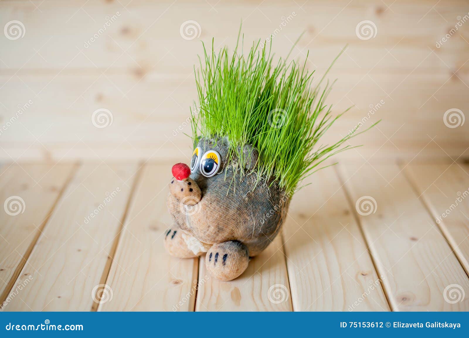 Hair Cutting, Hedgehog with Needles of Grass Stock Photo - Image of ...