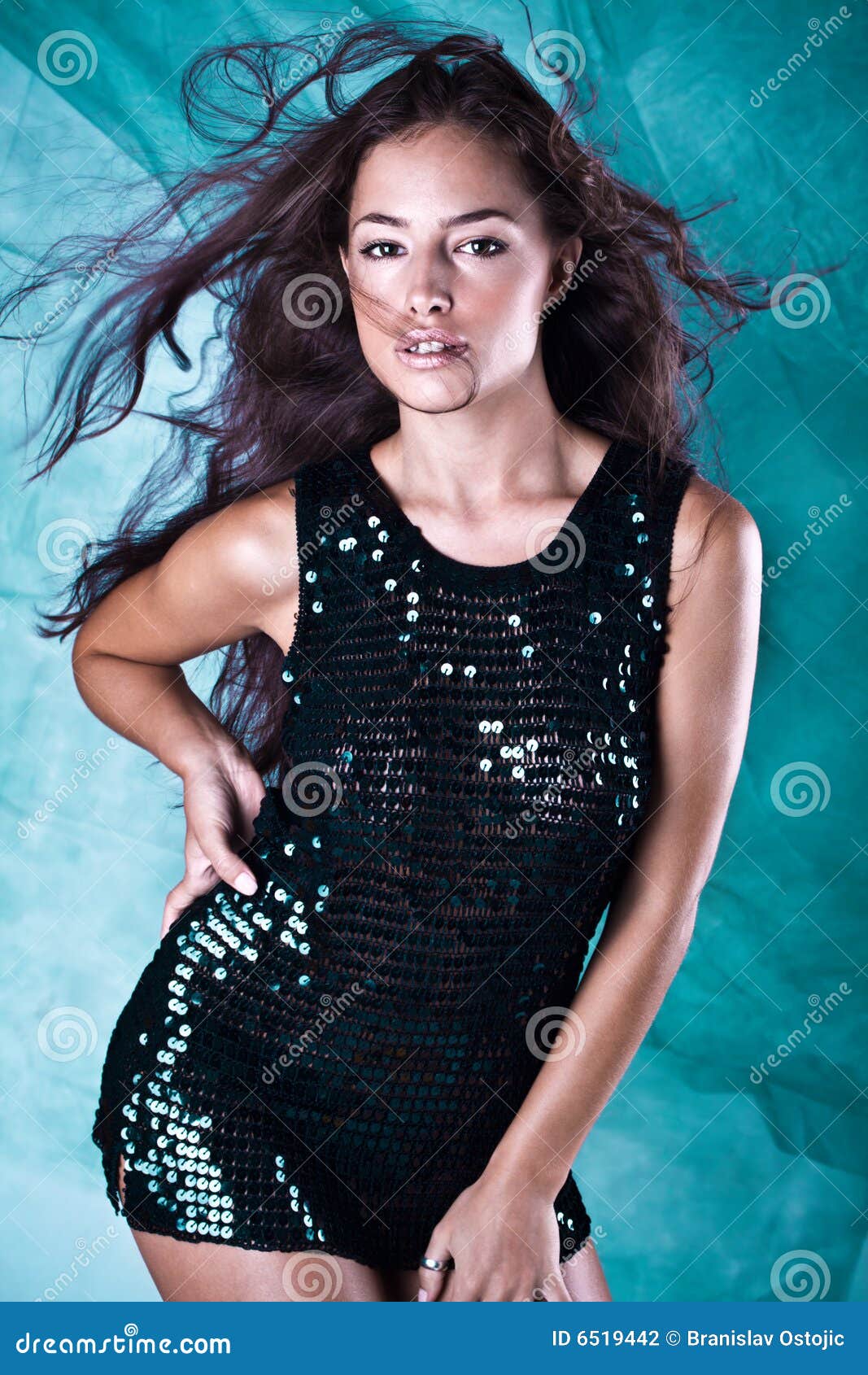 Hair fly stock photo. Image of gorgeous, hair, portrait - 6519442