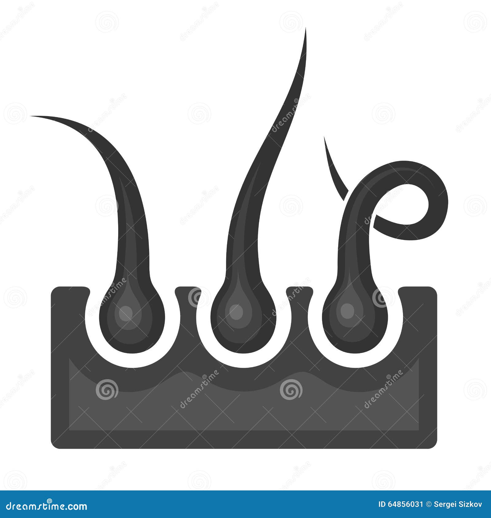 Hair Follicle Icon. Vector stock vector. Illustration of pigment - 64856031