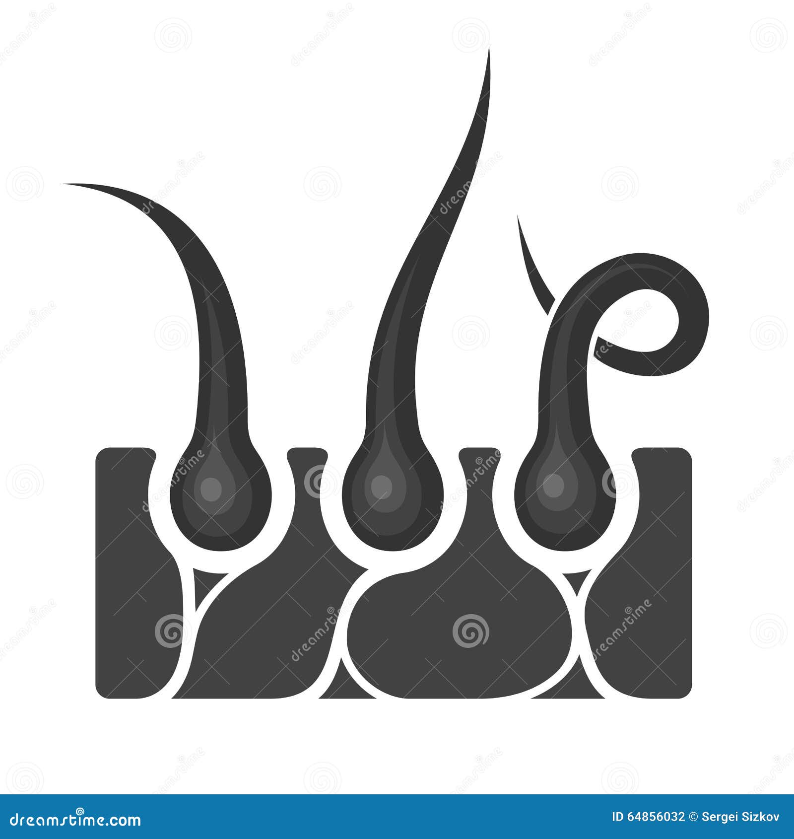 Hair Follicle Icon. Vector stock vector. Illustration of grow - 64856032
