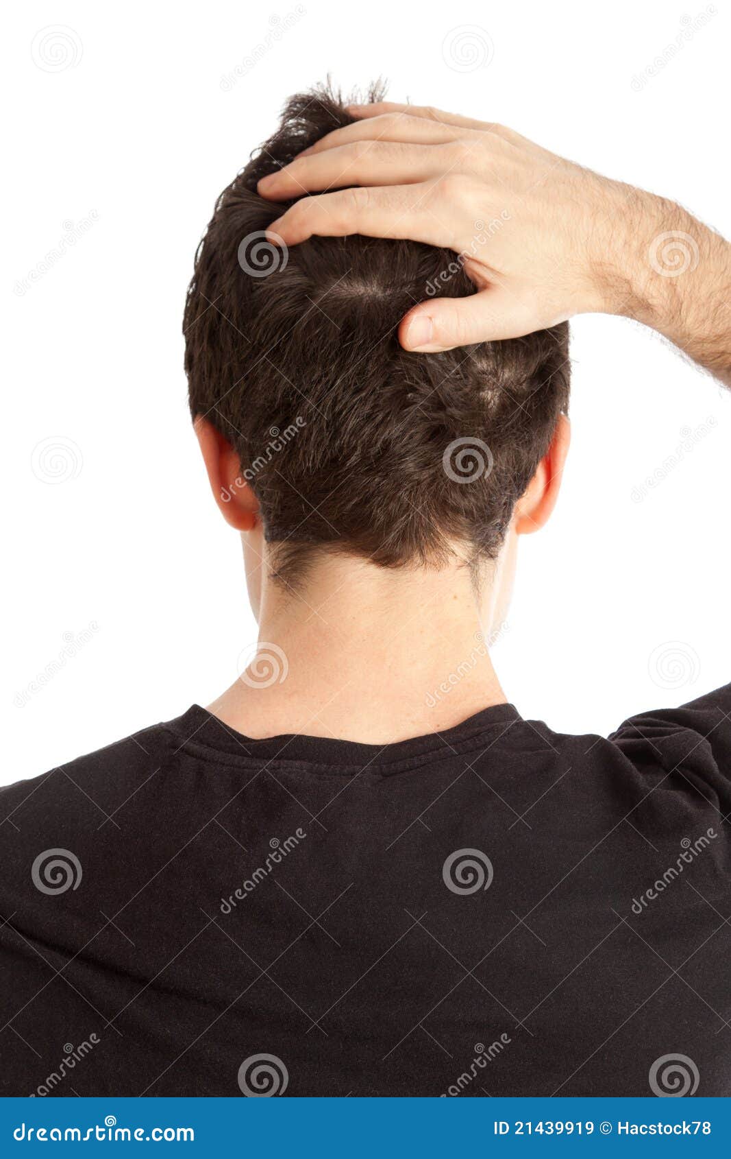 Hair loss stock image. Image of symptoms, expert, scalp - 21439919