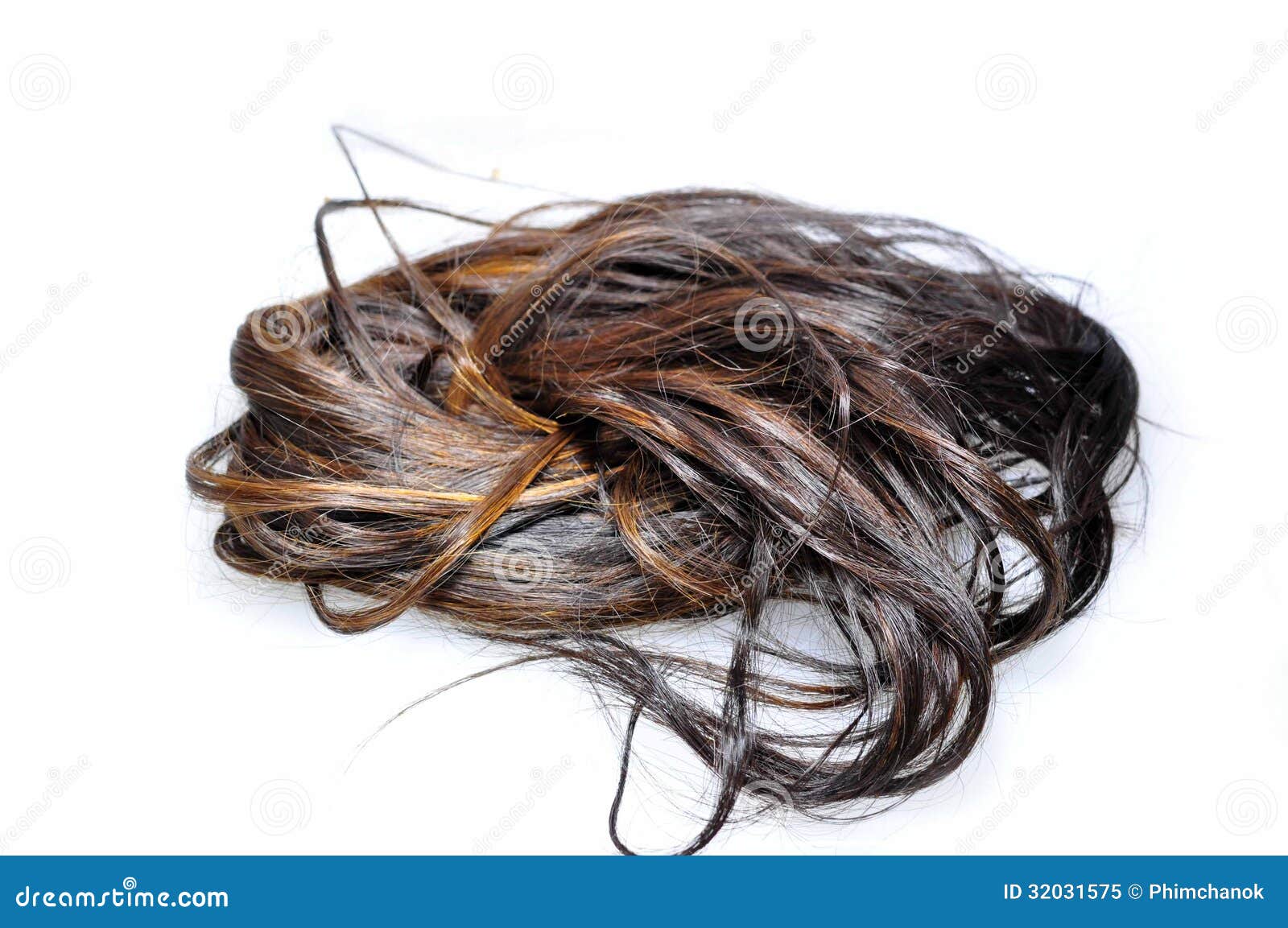 Hair loss problem stock image. Image of genetic, care - 32031575